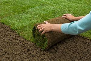 Lawn Care, Lawn cutting, Sod, Seeding, Aeration In Markham, Scarborough ...